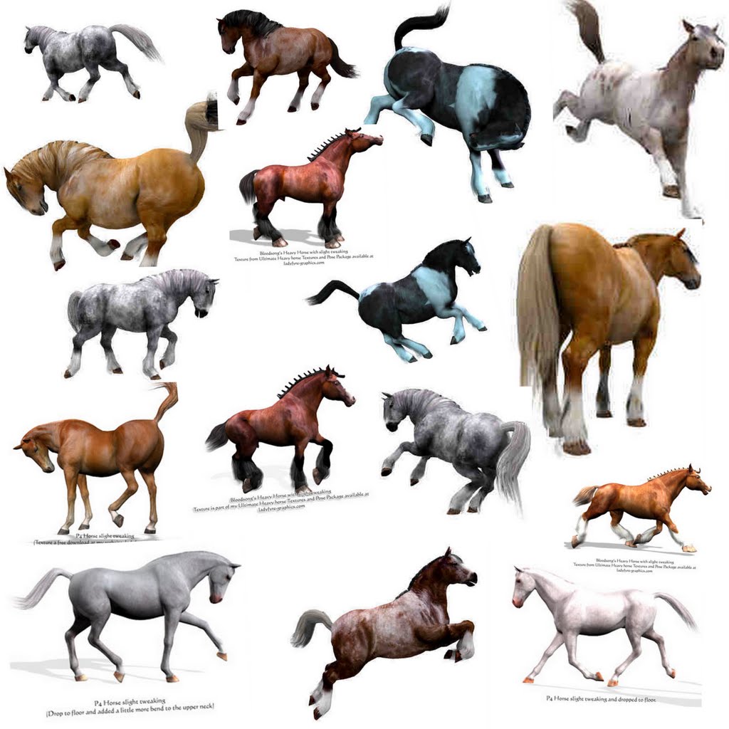 Older 3d Horse Model Renders - Ladyfyre Graphics CG