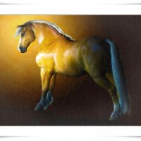 3d Digital Content & Art with Daz Studio & Poser Freebies